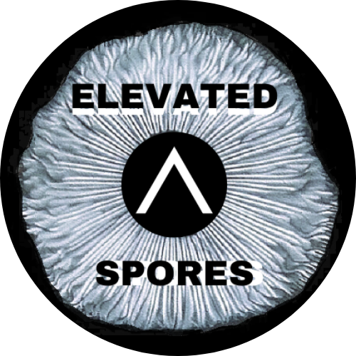Powder Extracts – Elevated Spores LLC